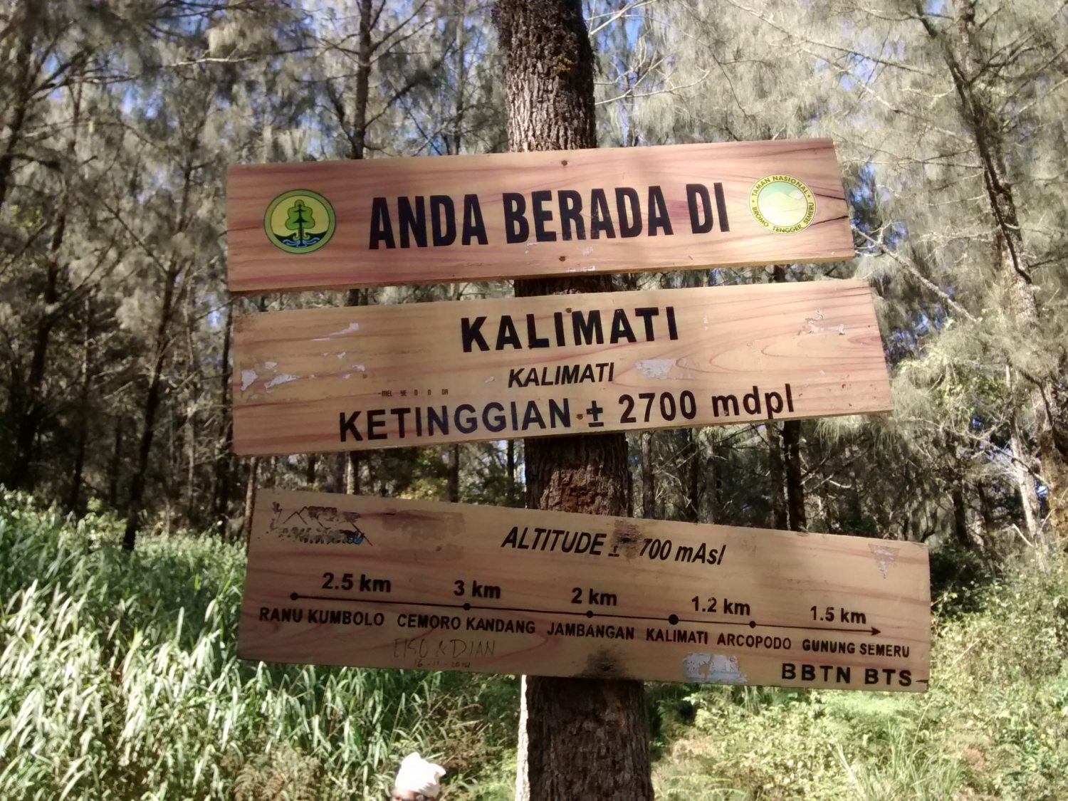 8 Tempat Camping Populer dengan Pemandangan Terbaik di Pulau Jawa ...